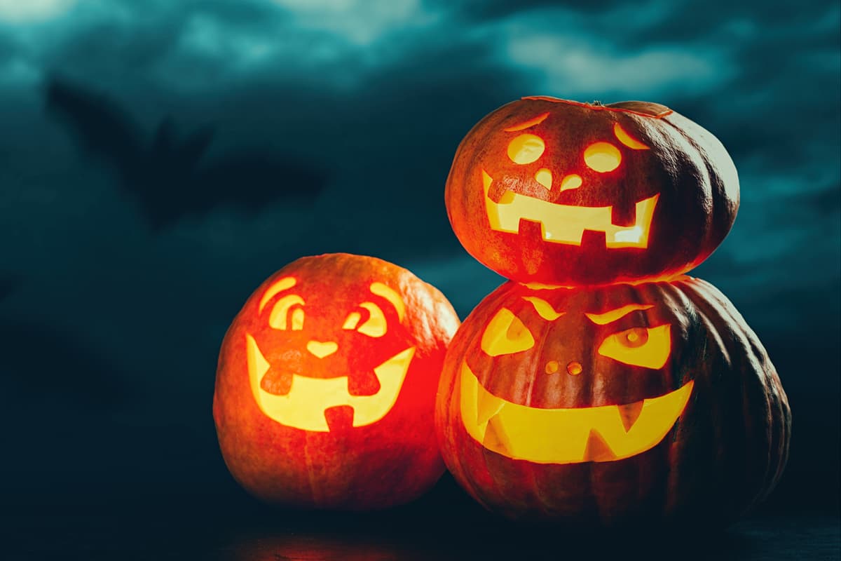 Glasgow Shopping Centre Hosting Free Halloween And Christmas Events For glasgow-shopping-centre-hosting-free-halloween-and-christmas-events-for